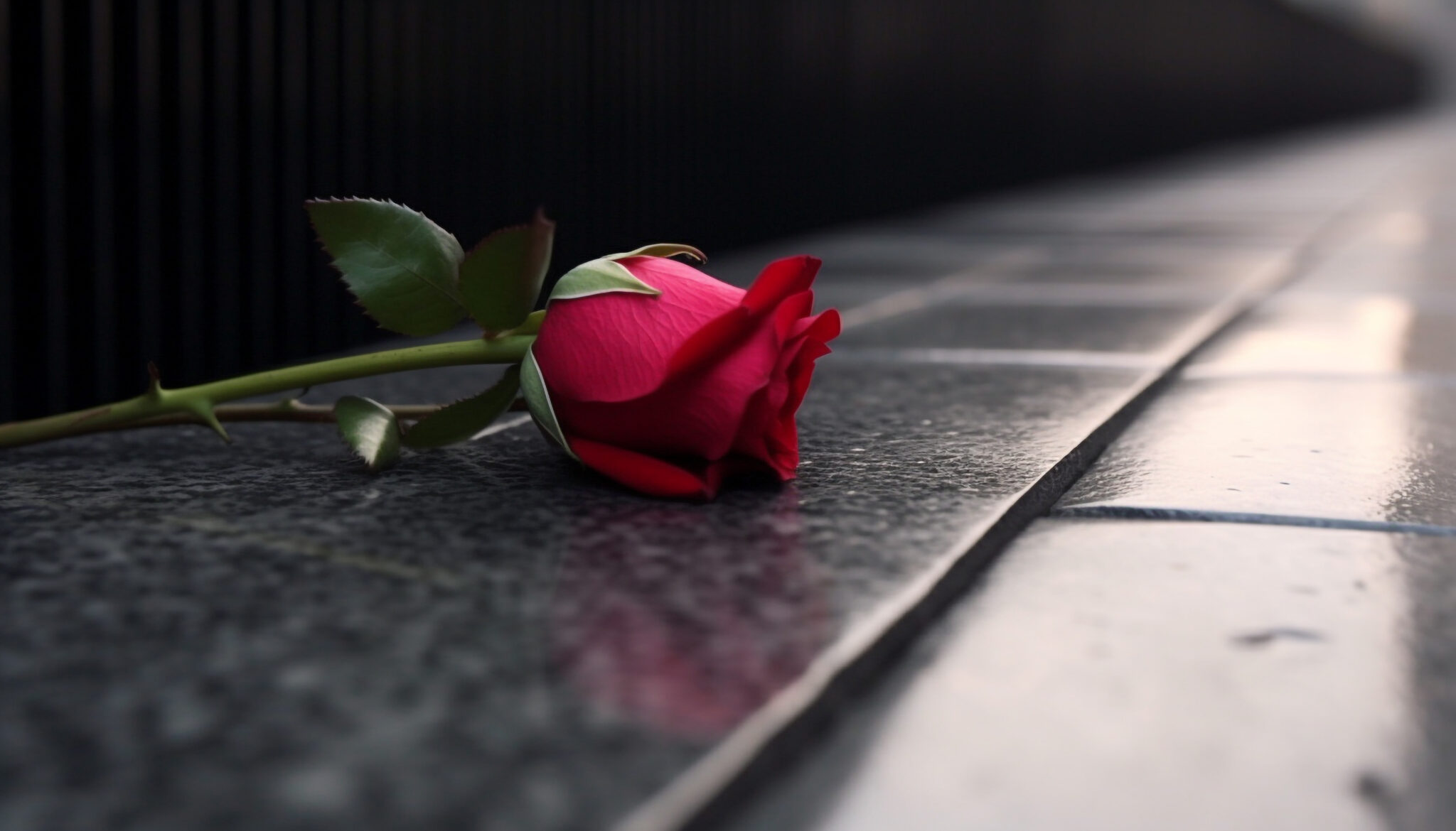 Who Am I Without Them? Grief and Identity After Loss - Intentional Spaces